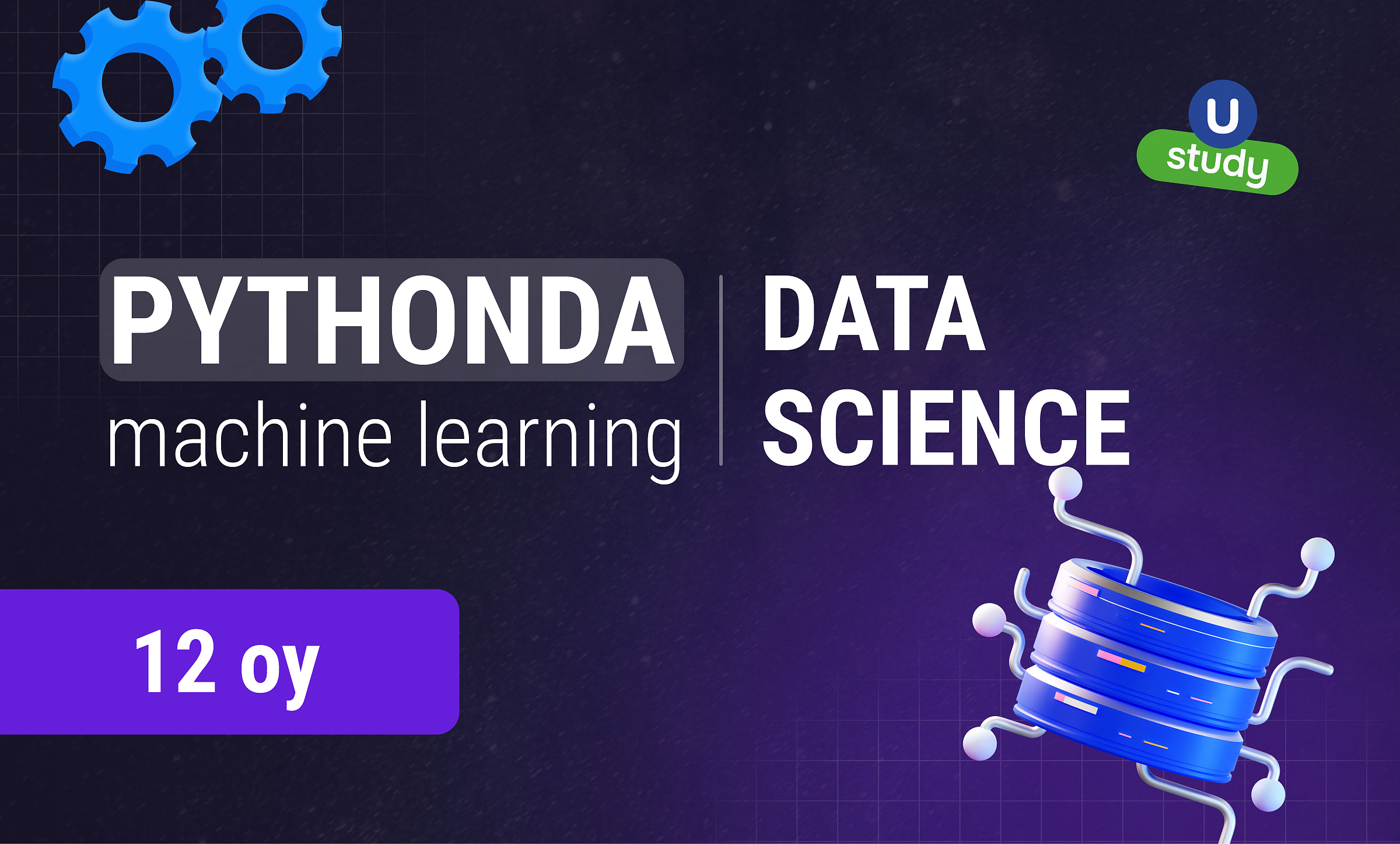 Professional Machine Learning Engineer